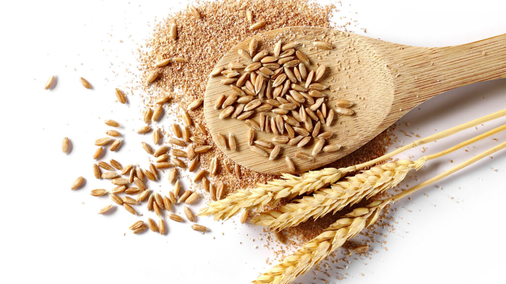 Almidones - Warakteknic WARAKTEKNIC